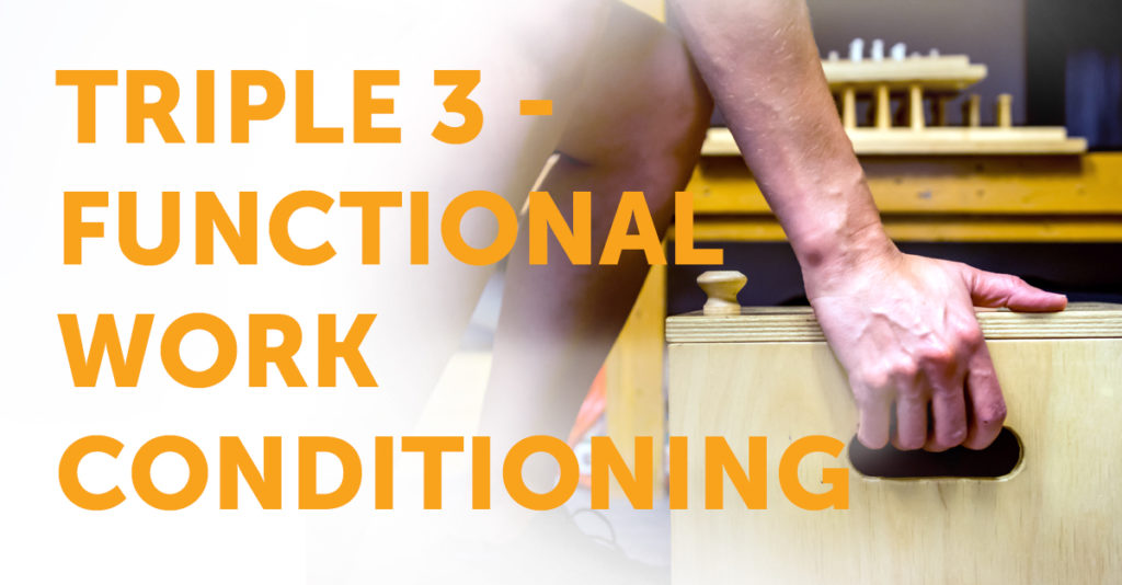 Functional Work Conditioning - Triple 3 Program - PTandMe